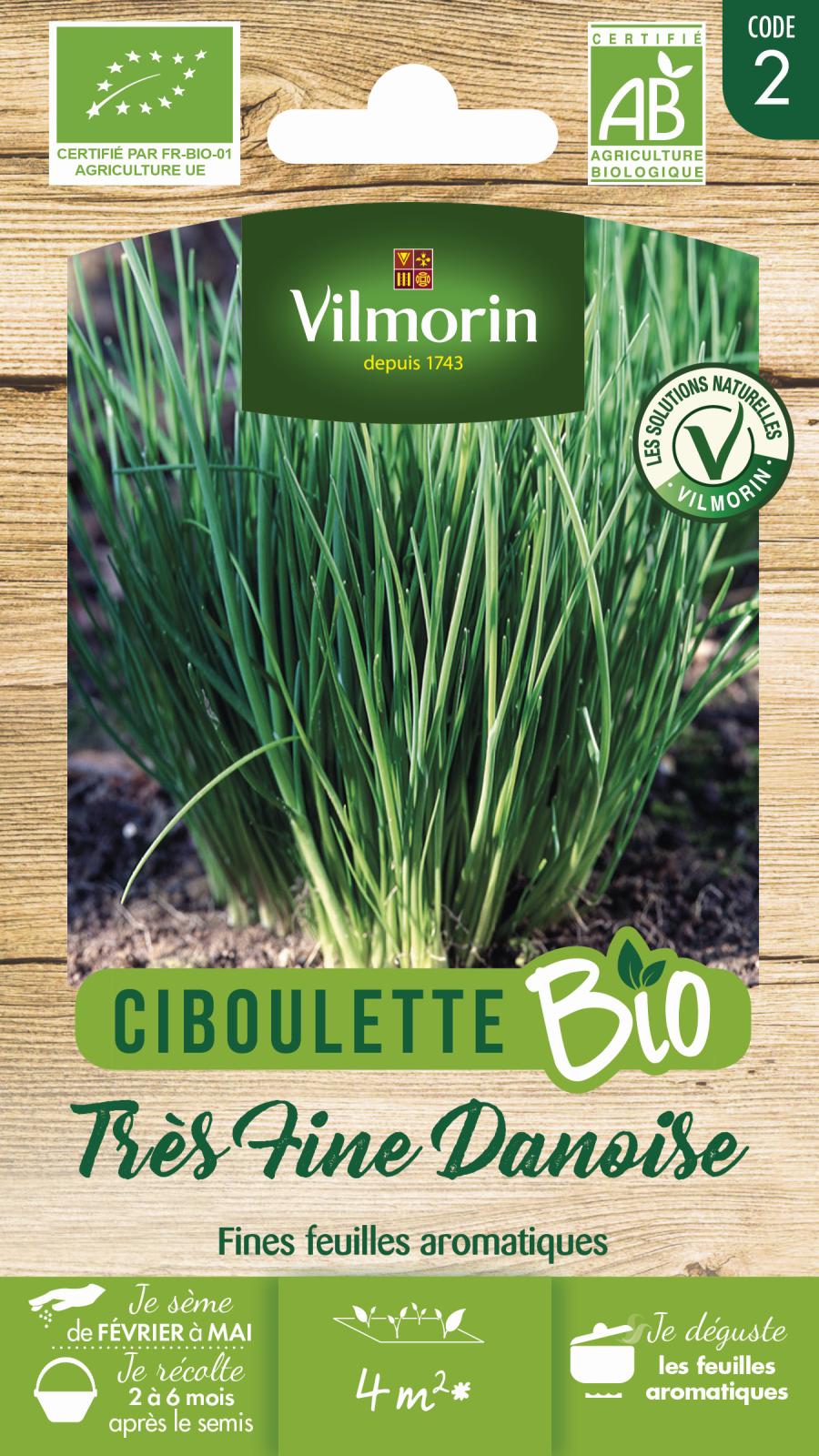 Ciboulette Très Fine Danoise Bio | En pot ou pleine terre | Vilmorin Jardin