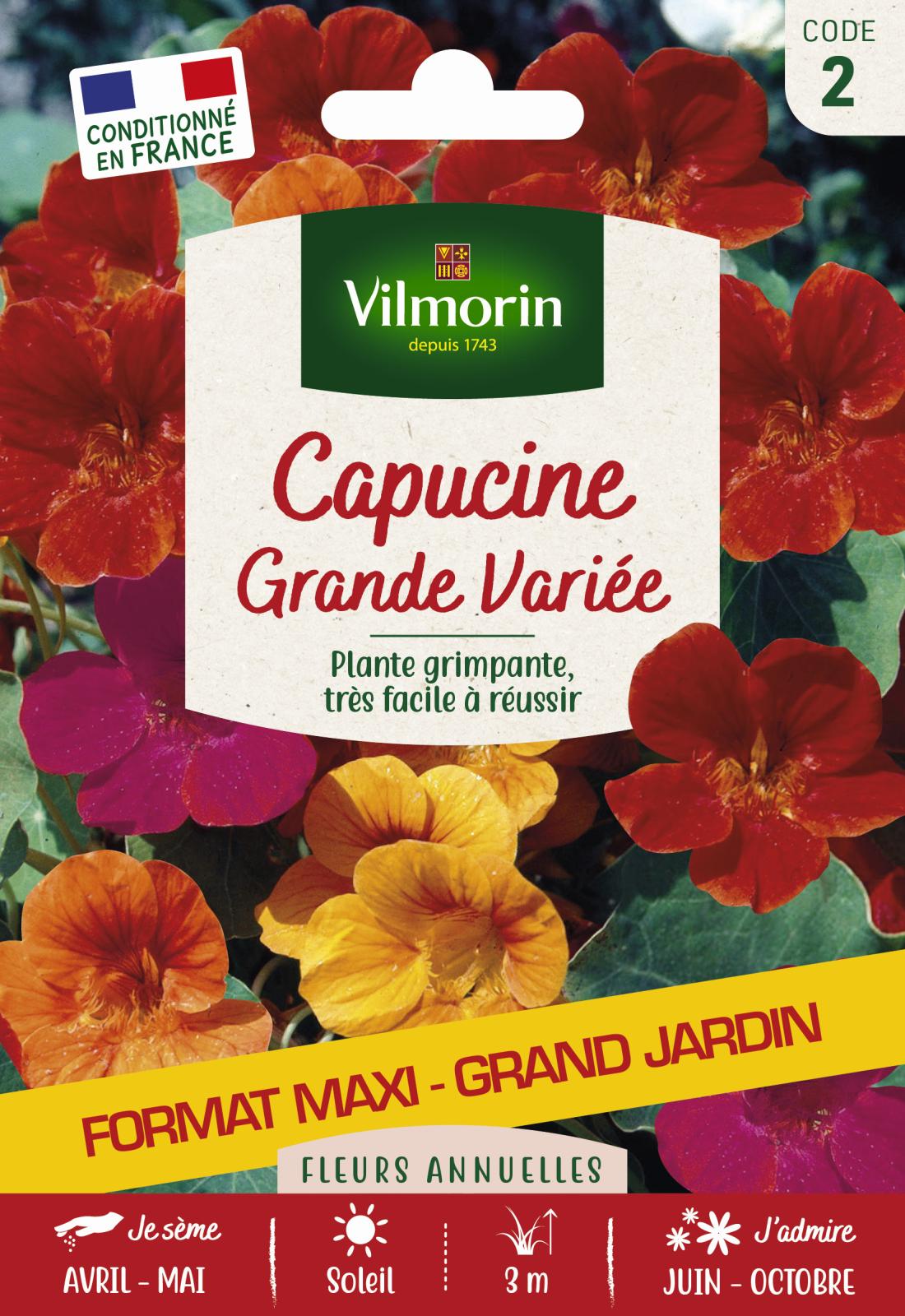 Capucine Grande Variée – Graines à semer, de fleurs grimpantes ...