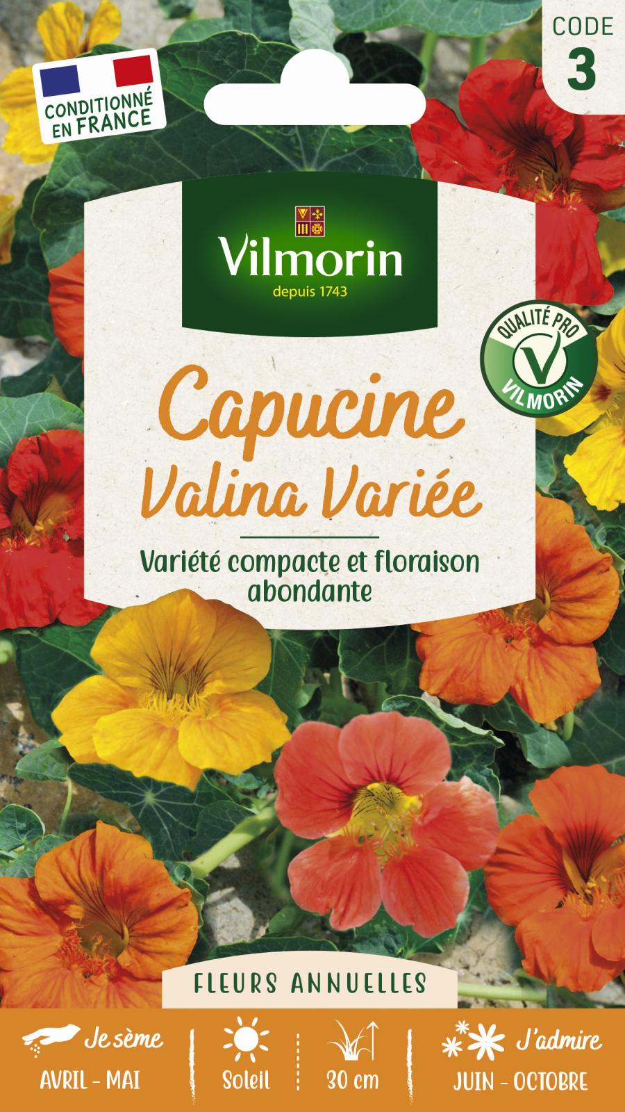 Capucine Valina Variée | Floraison abondante | Vilmorin Jardin