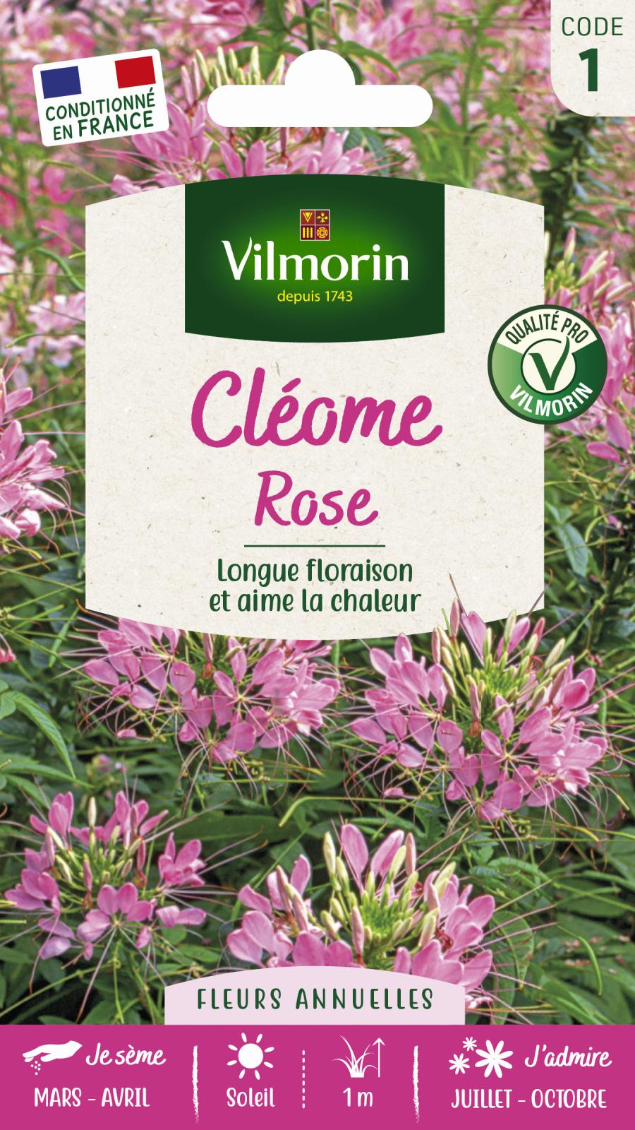 Cléome Rose | Fleurit longtemps & aime la chaleur | Vilmorin Jardin
