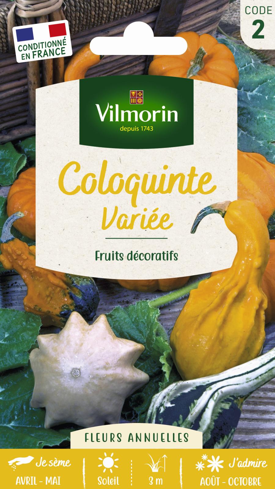 Coloquinte Variée | Très décoratif, non comestible | Vilmorin Jardin