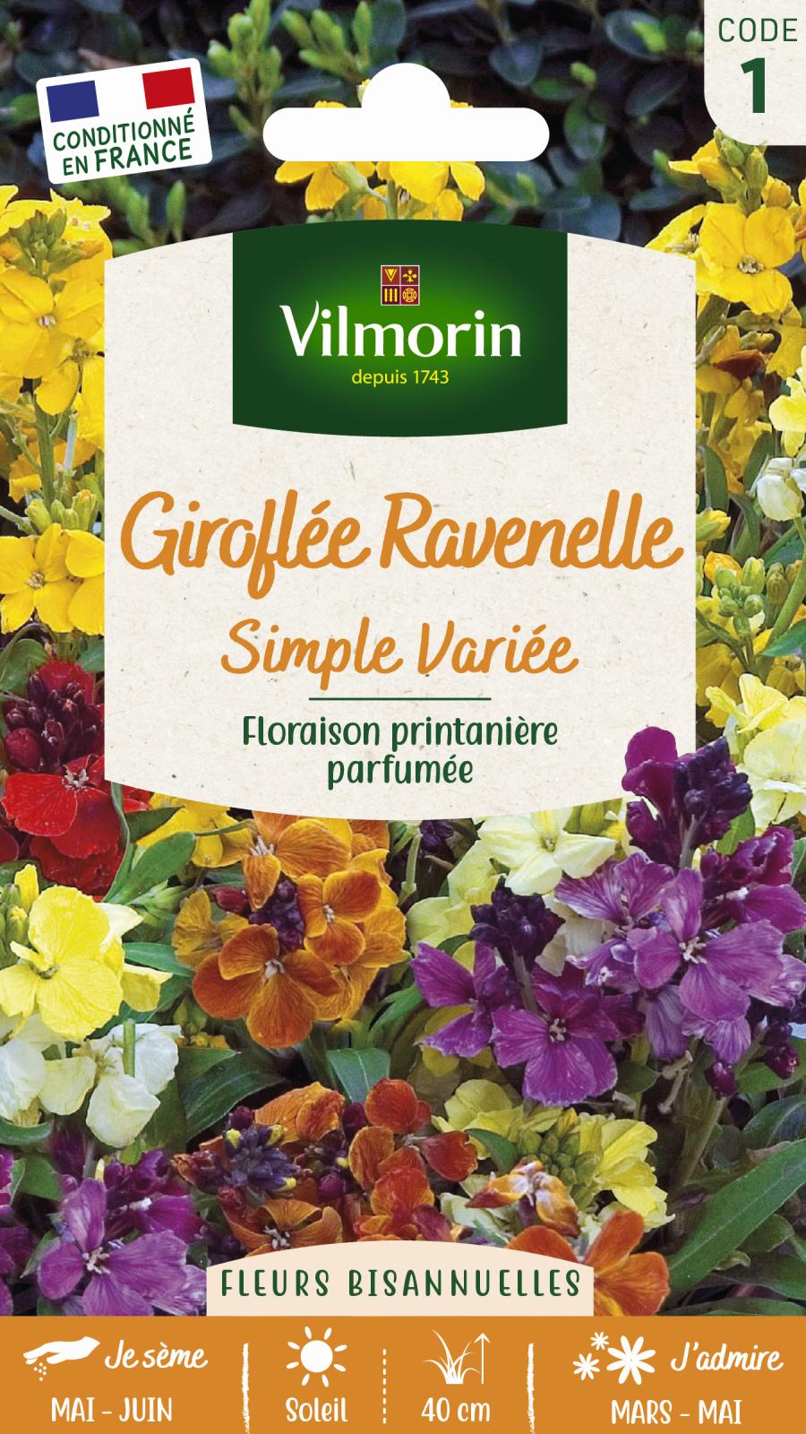 Giroflée Ravenelle Variée | Printanière & parfumée | Vilmorin Jardin