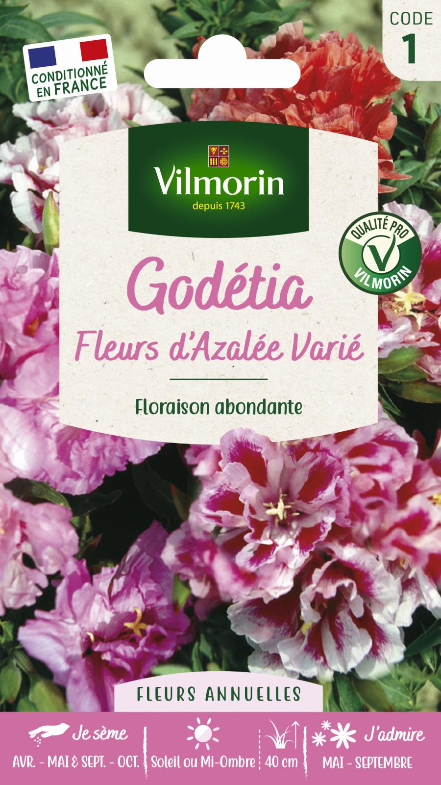 Godétia Double à Fleur d'Azalée Varié | Florifère | Vilmorin Jardin