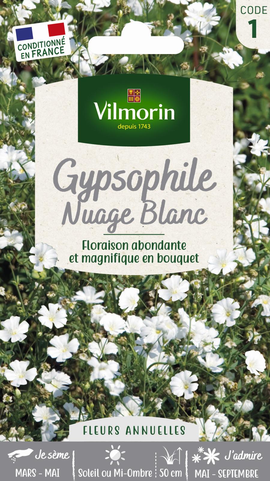 Gypsophile Roi des Halles | Magnifique en bouquet | Vilmorin Jardin