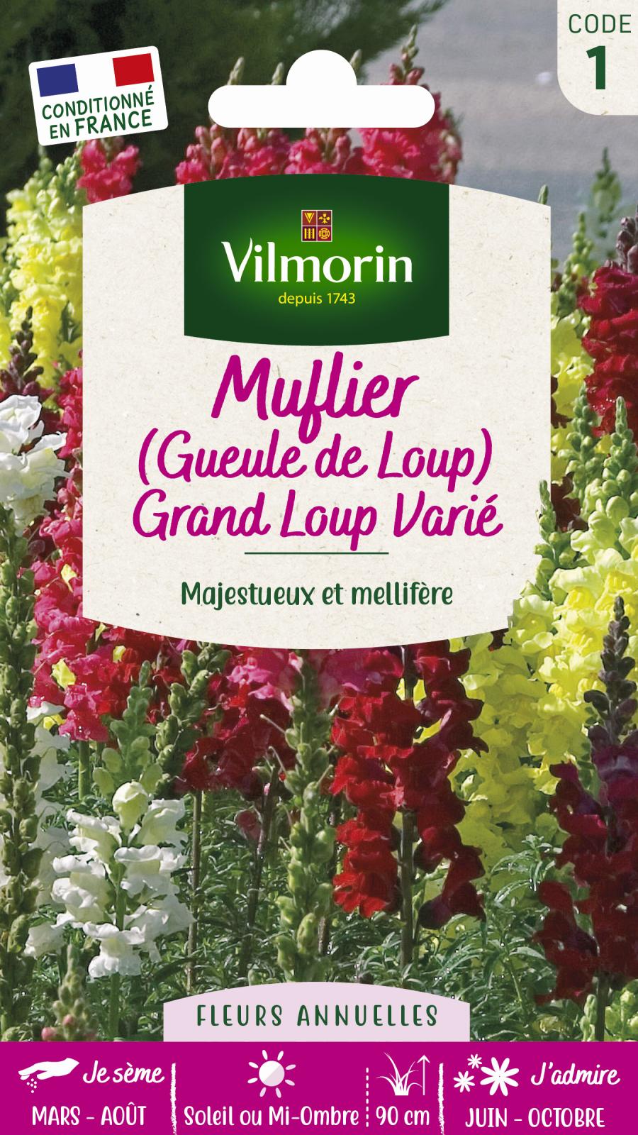 Muflier (Gueule de Loup) Grand Loup Varié | Majestueux & mellifère ...