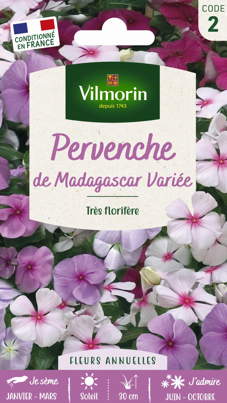 Pervenche de Madagascar Variée | Pastel, très florifère | Vilmorin Jardin