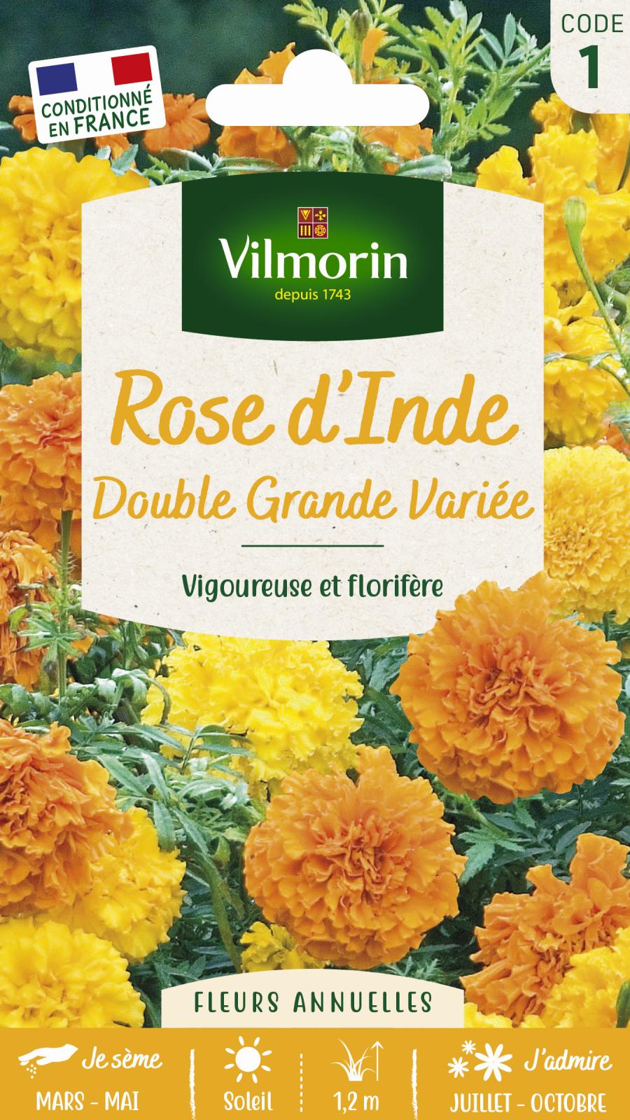 Rose d'Inde Double Grande Variée | Tons chauds | Vilmorin Jardin