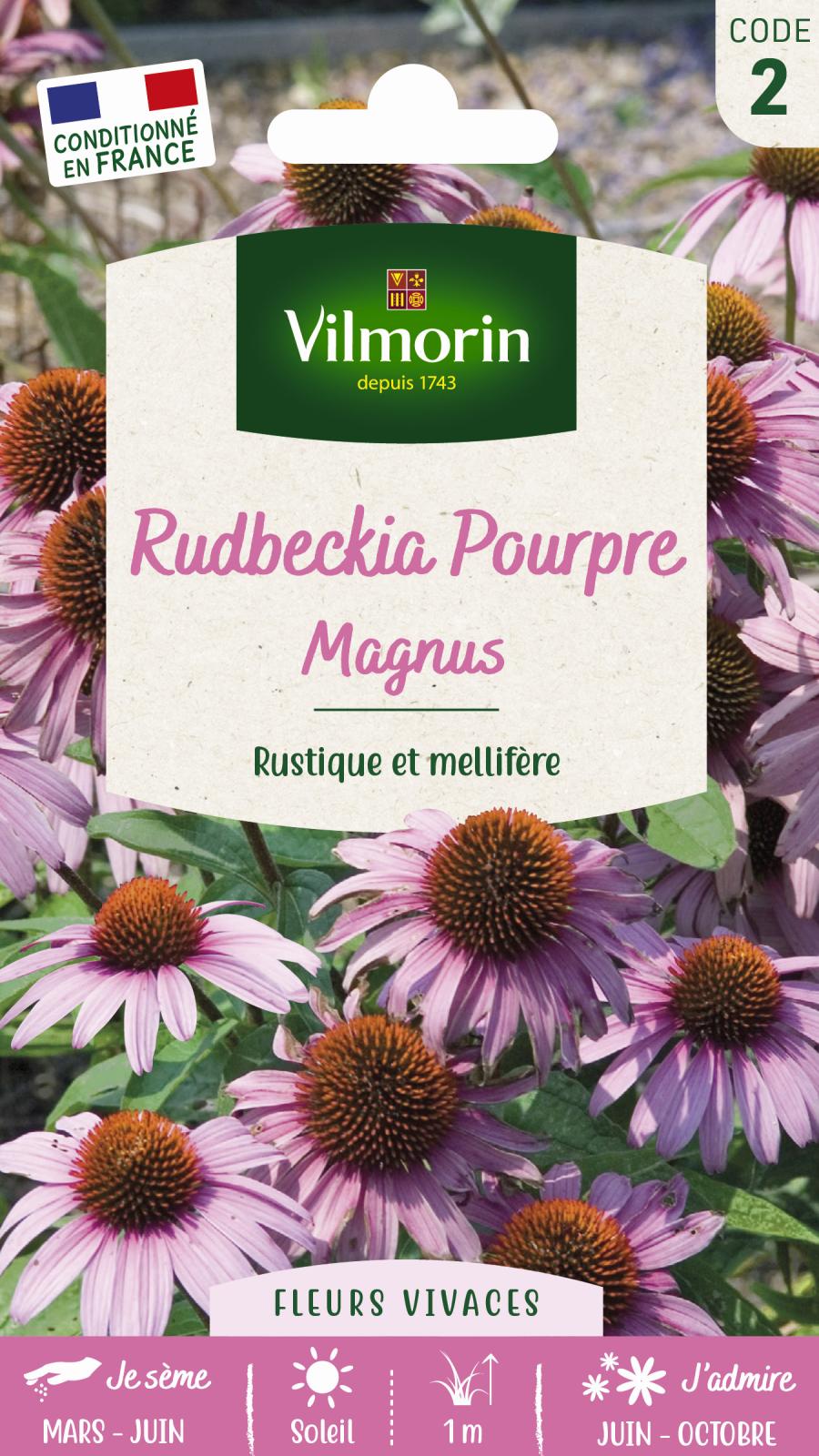 Rudbeckia Pourpre Magnus | Rustique & mellifère | Vilmorin Jardin