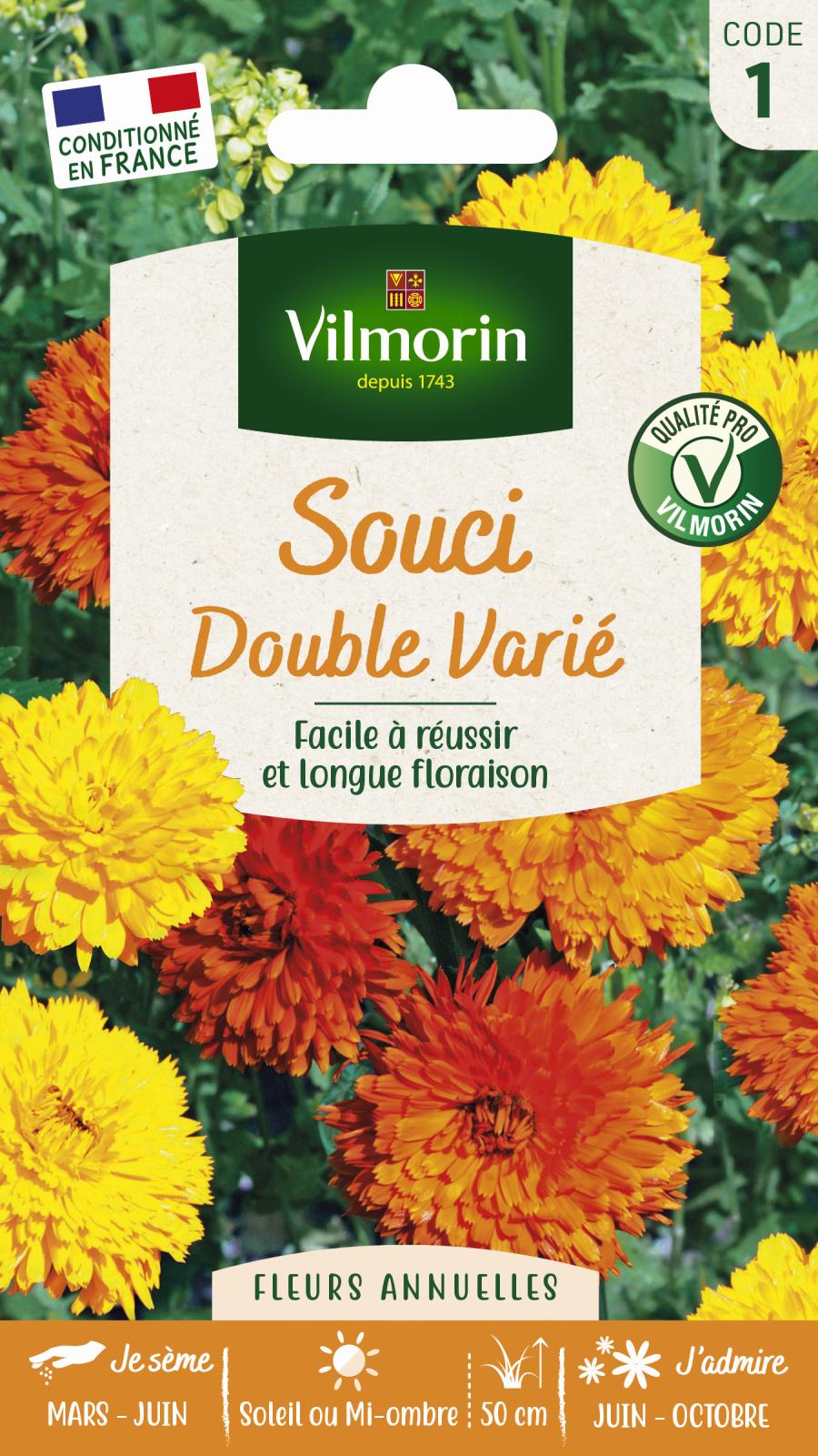 Souci Double Varié | Facile et fleurit longtemps | Vilmorin Jardin