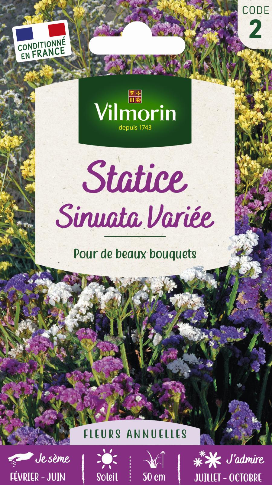 Statice Sinuata Variée | Pour de beaux bouquets | Vilmorin Jardin