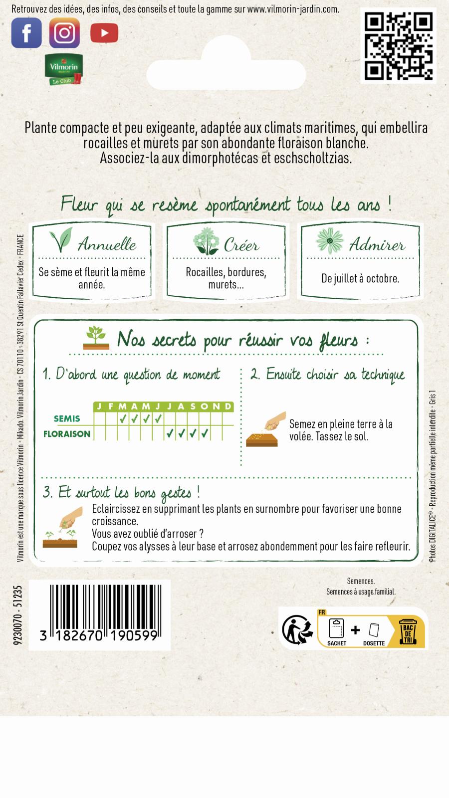 Alysse Corbeille d'Argent | Tapissante & odorante | Vilmorin Jardin