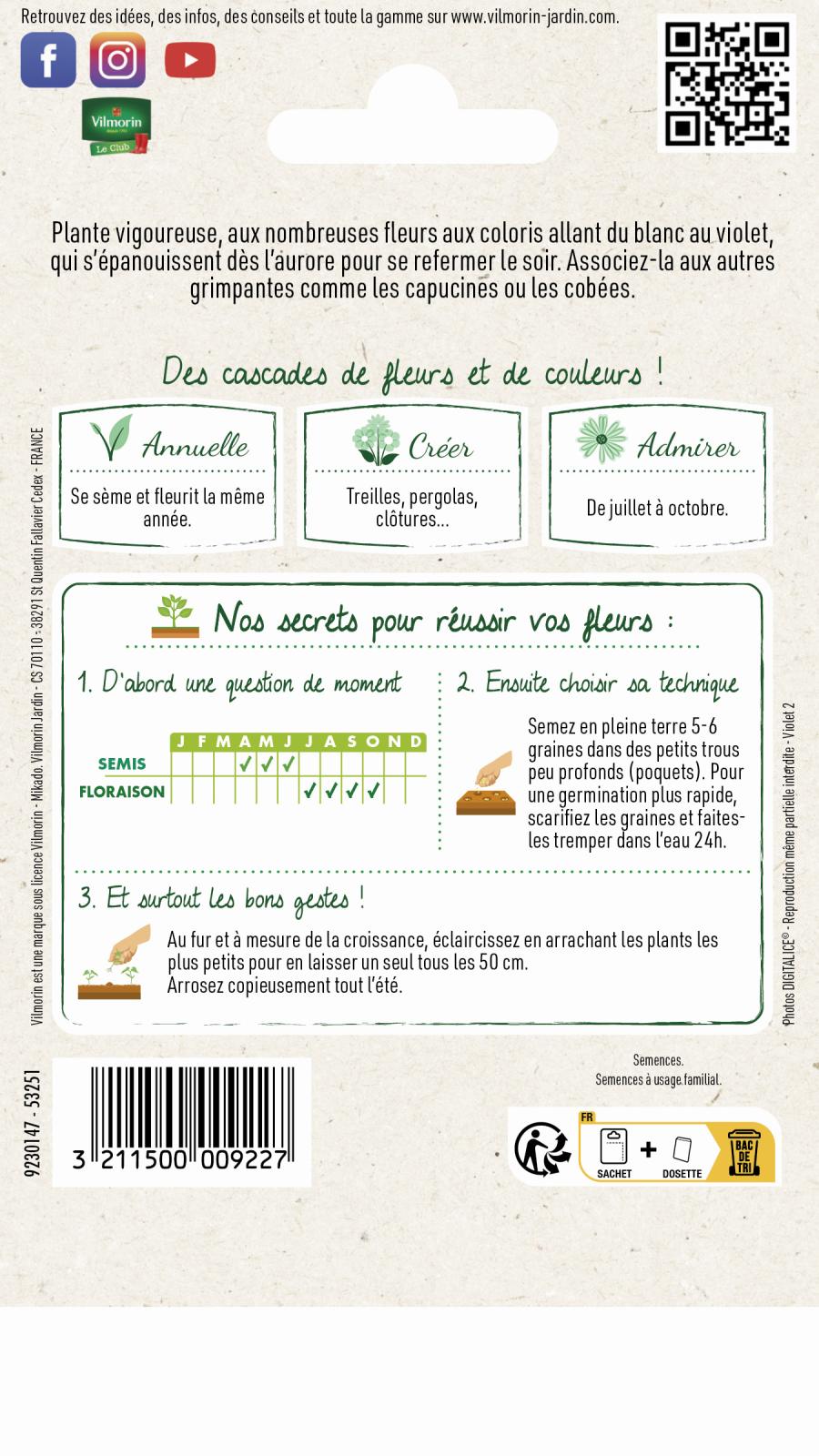 Ipomée Volubilis Variée | Grimpante multicolore | Vilmorin Jardin