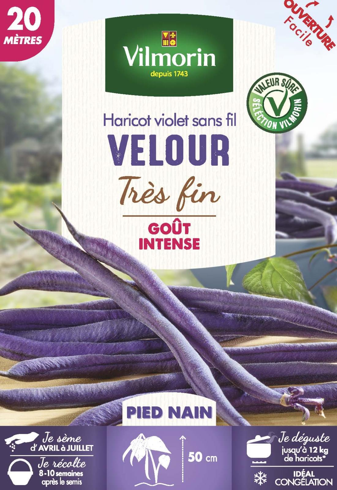 Haricot Velour | 20m | Nain Très Fin | Vilmorin Jardin