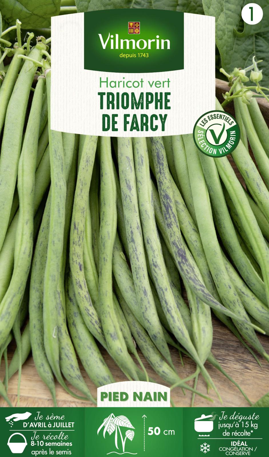 Haricot Triomphe de Farcy | Nain Très Fin | Vilmorin Jardin