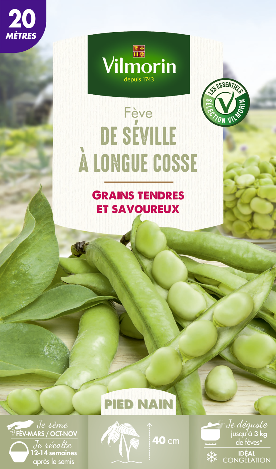 Fève de Séville à Longue Cosse Bio | 20m | Vilmorin Jardin