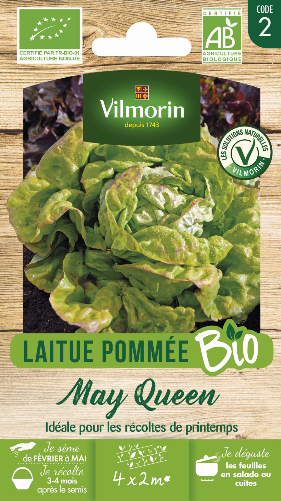 Laitue Pommée May Queen Bio | Savoureuse et facile | Vilmorin Jardin