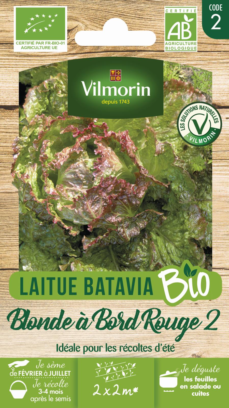Laitue Batavia Blonde à Bord Rouge 5 Bio | Croquant | Vilmorin Jardin