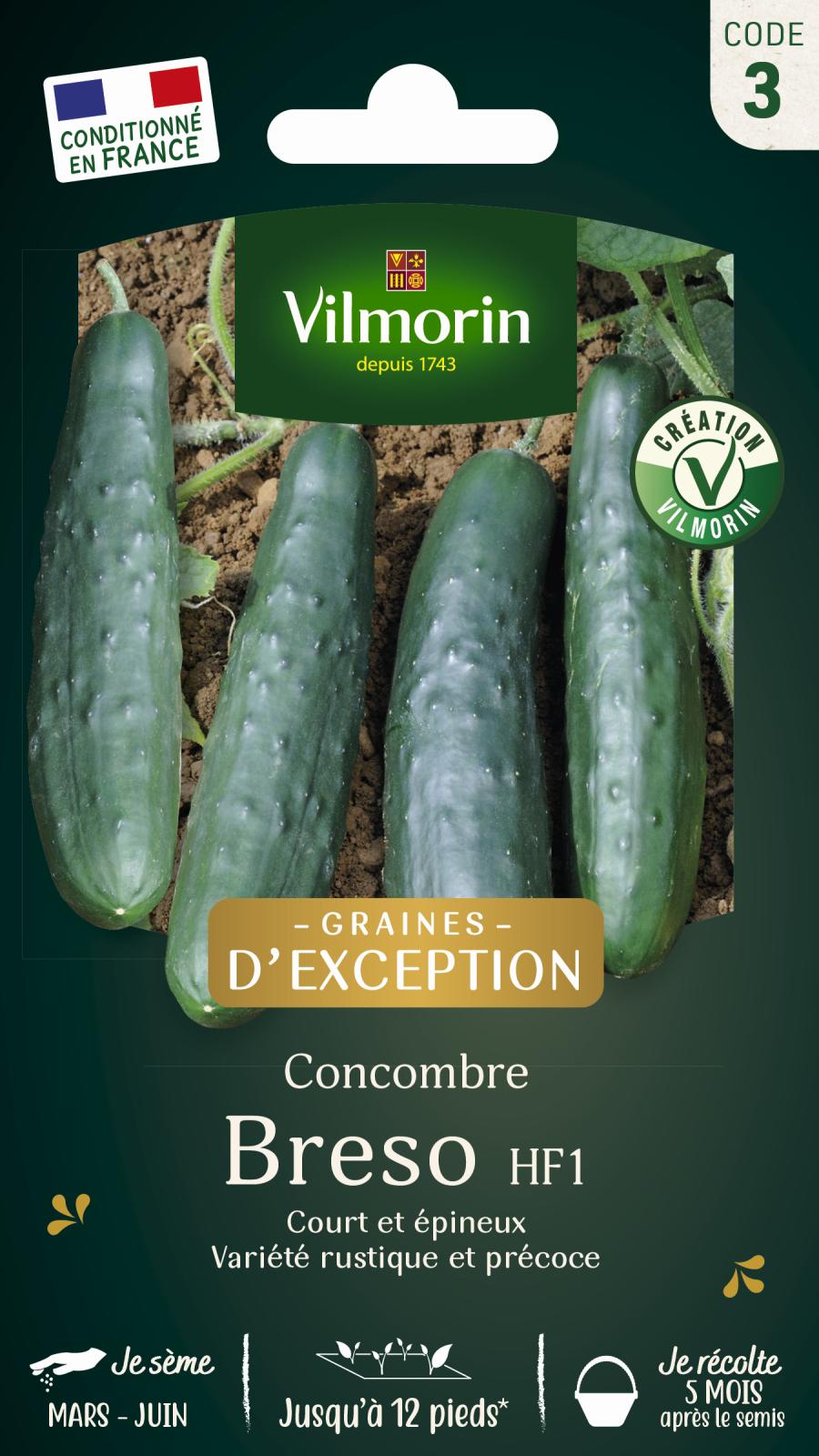 Concombre Breso HF1 | Sans amertume, résiste aux maladies | Vilmorin Jardin