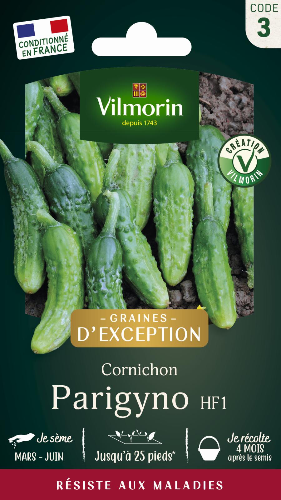 Cornichon Parigyno HF1 | Rendement exceptionnel | Vilmorin Jardin