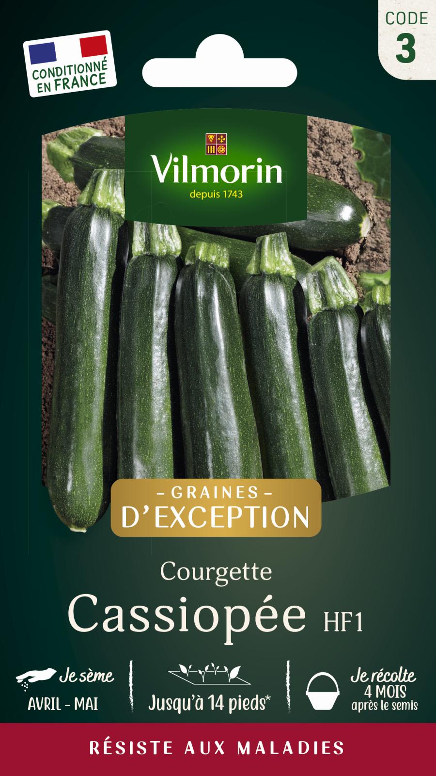 Courgette Cassiopée HF1 - Hybride Précoce Productive | Vilmorin Jardin