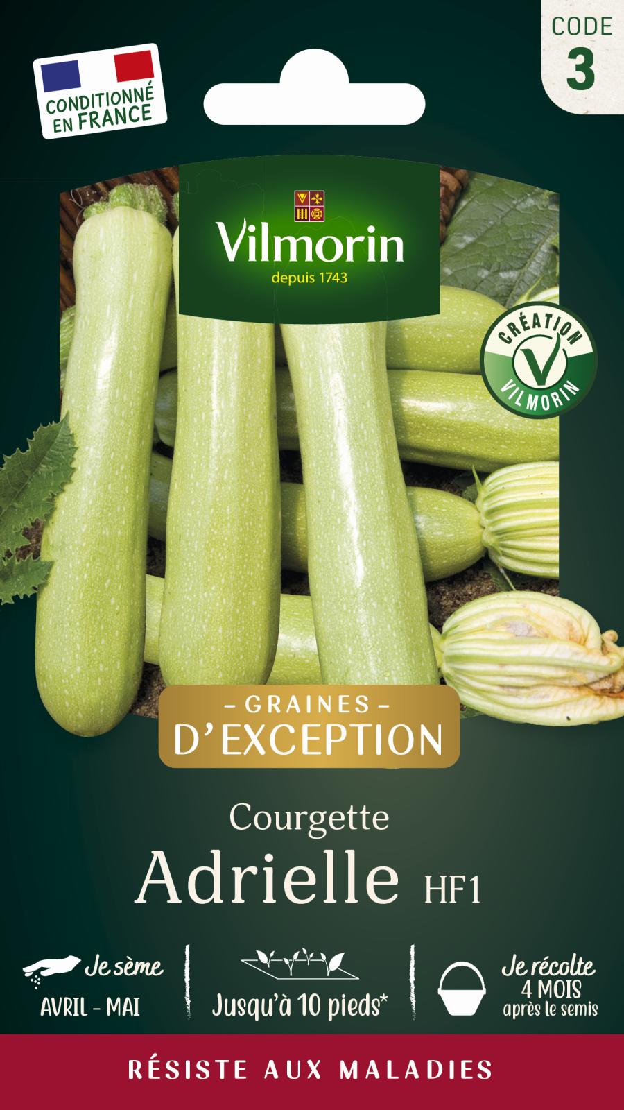Courgette Adrielle HF1 | Excellente productivité & résistance ...