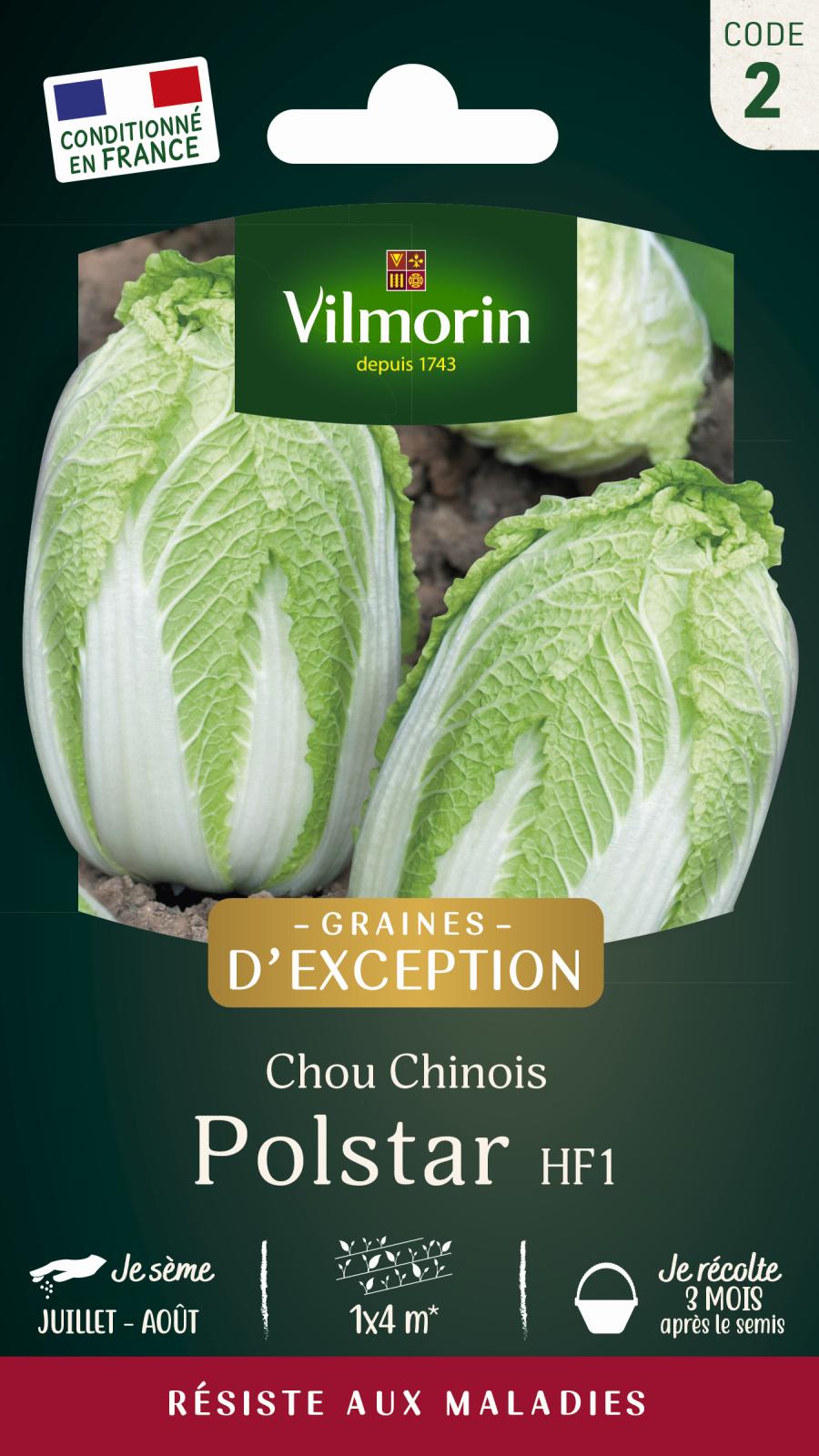 Chou Chinois Polstar HF1 - Variété Productive | Vilmorin Jardin