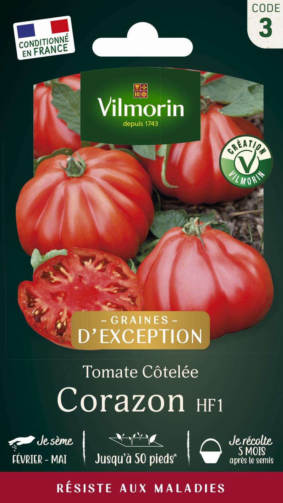 Tomate Corazon HF1 | Cœur de Bœuf à très gros fruit | Vilmorin Jardin