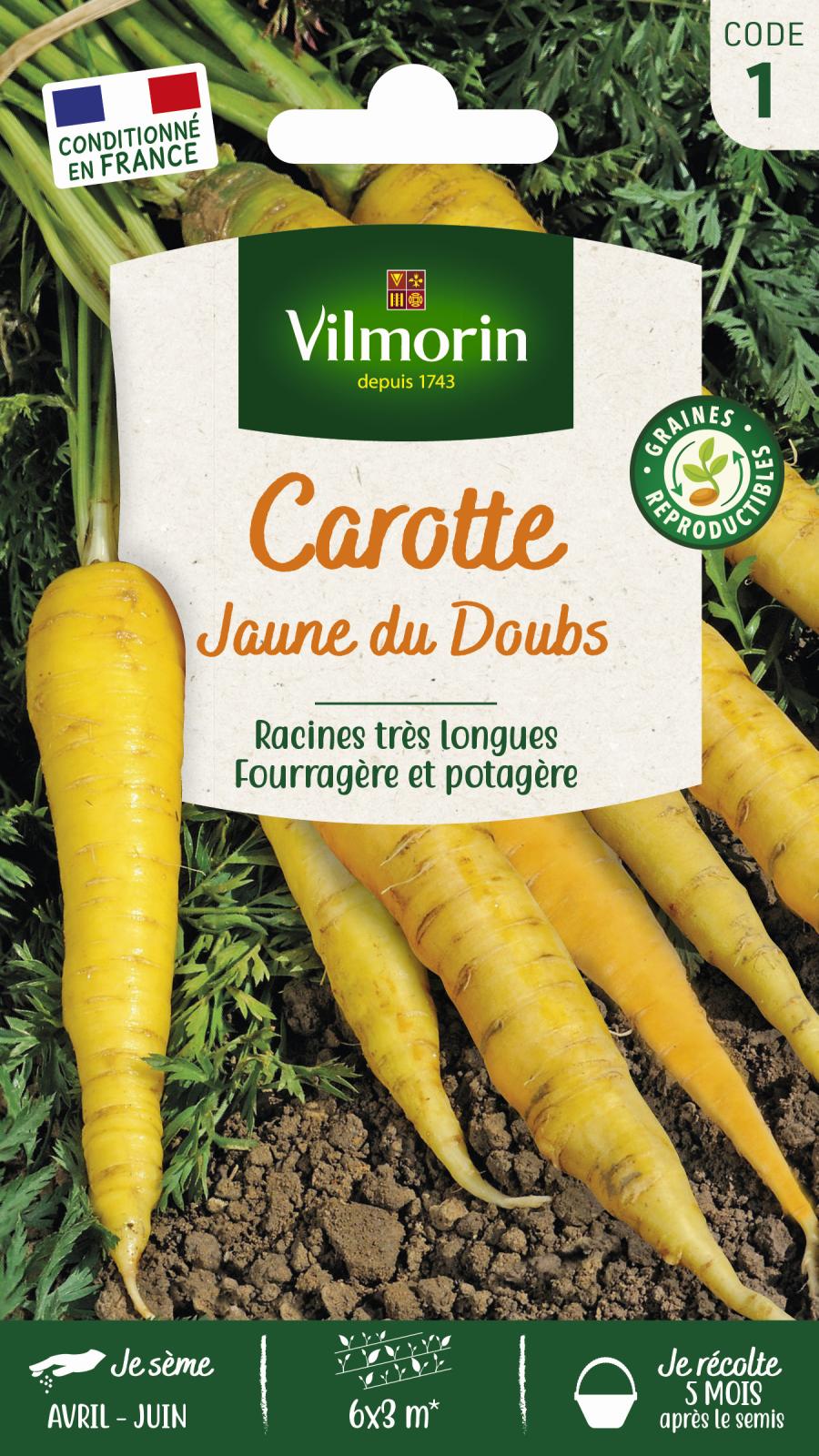 Carotte Jaune Obtuse du Doubs – Graines de variété ancienne | Vilmorin ...