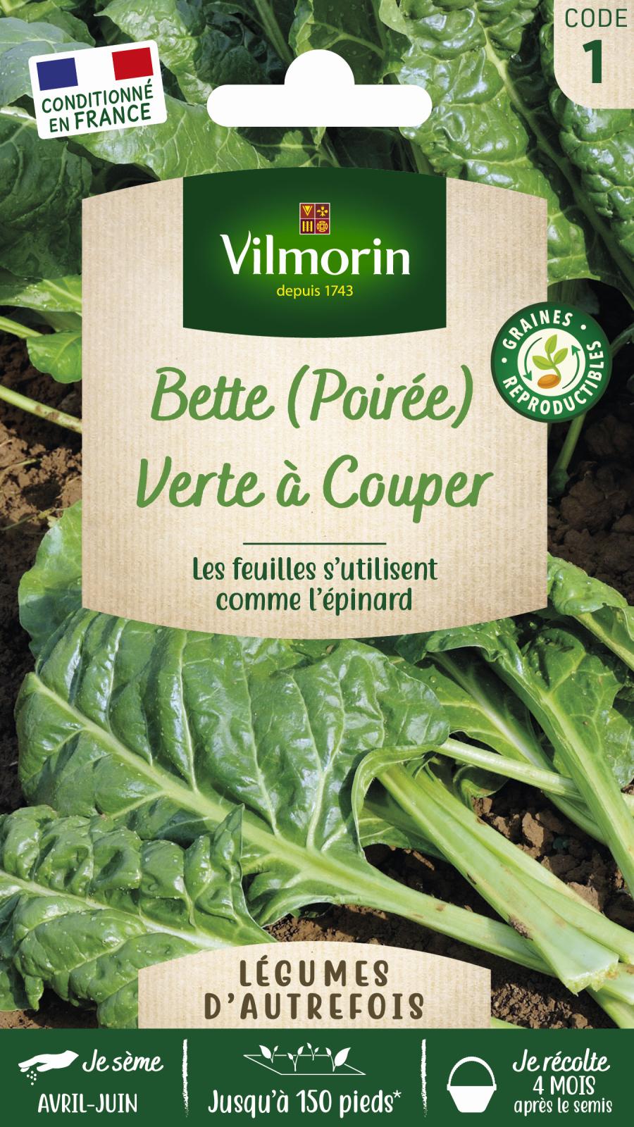 Bette (Poirée) Verte à Couper | Bette-épinard, très verte | Vilmorin Jardin