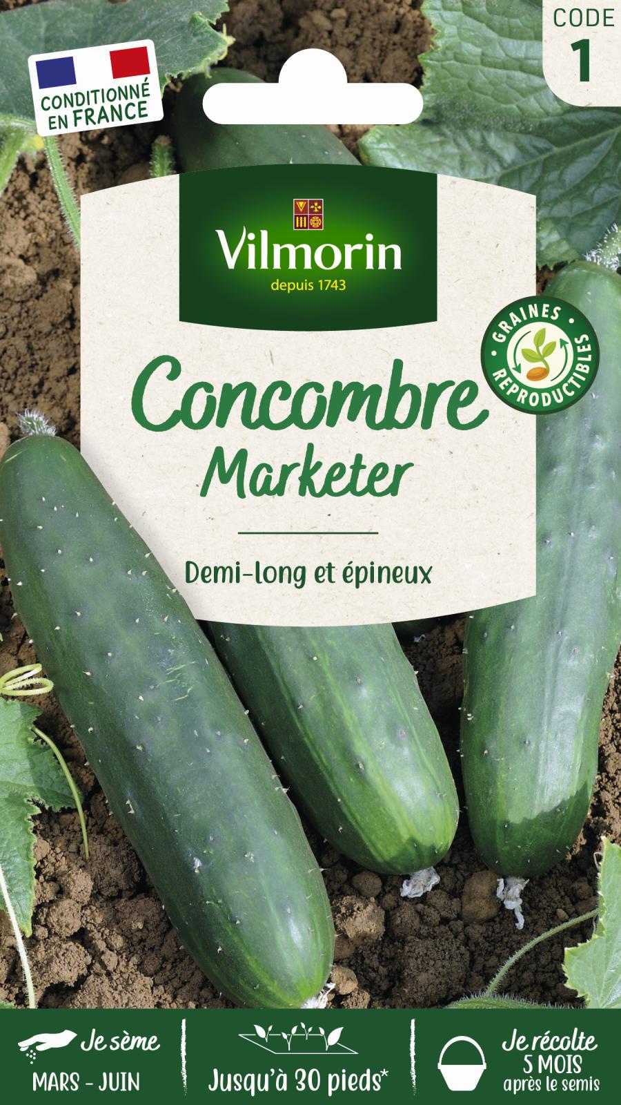 Concombre Marketer | Précoce, vigoureux, productif | Vilmorin Jardin