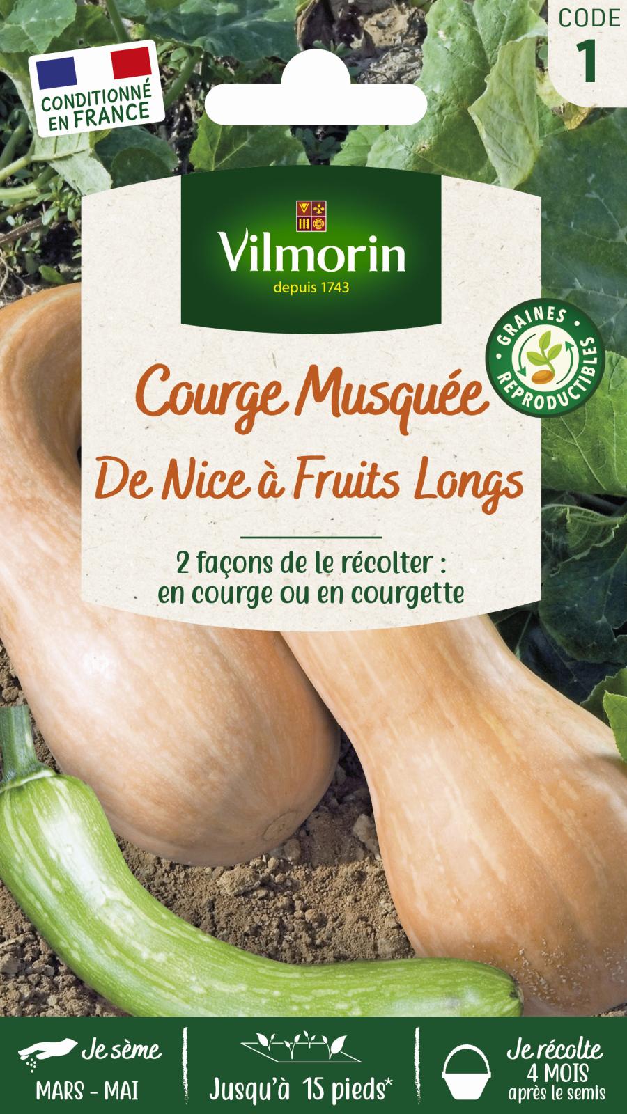 Courge Musquée de Nice à Fruits Longs | Double usage | Vilmorin Jardin