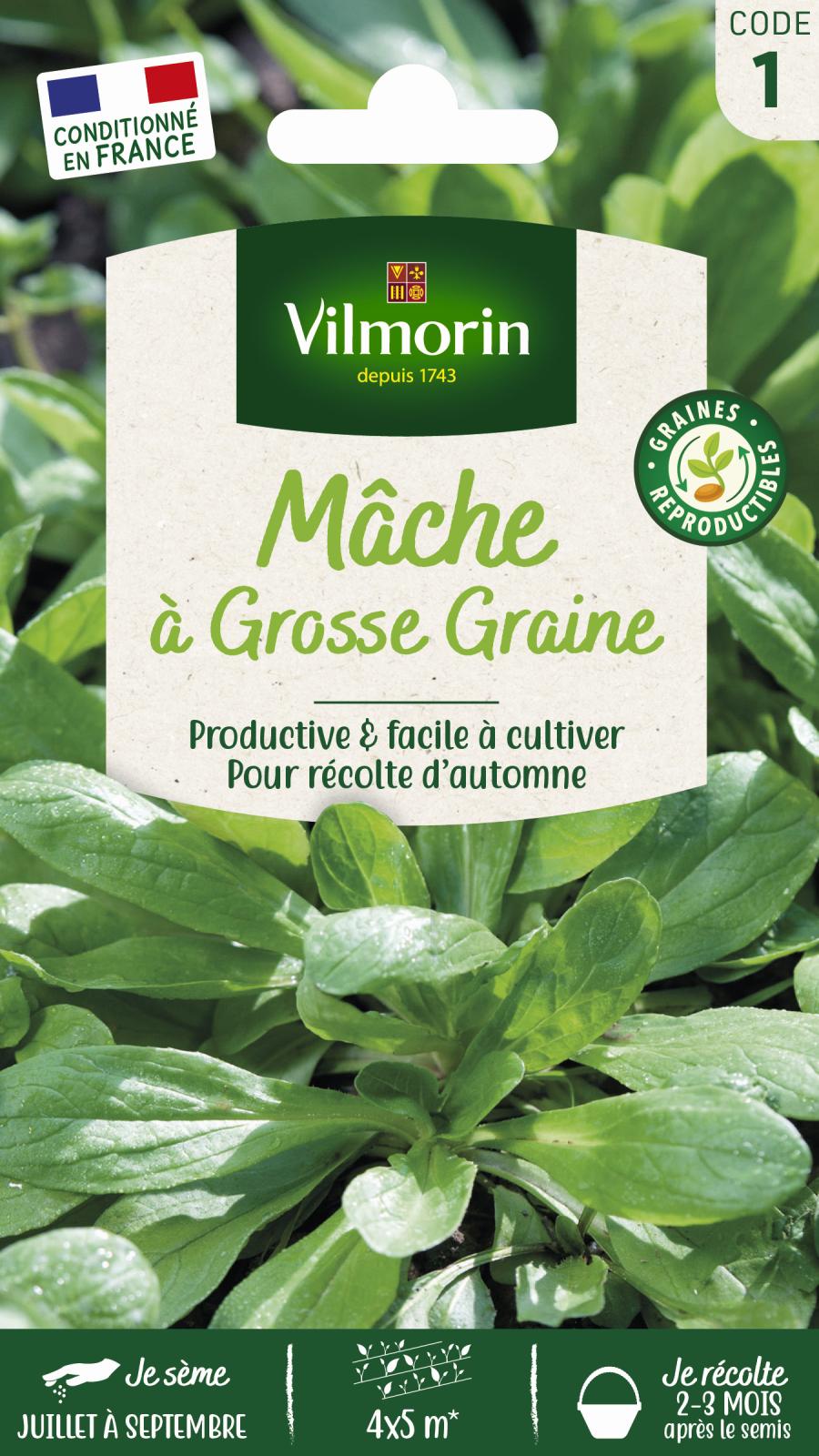Mâche à Grosse Graine | Idéale récoltes d'automne | Vilmorin Jardin