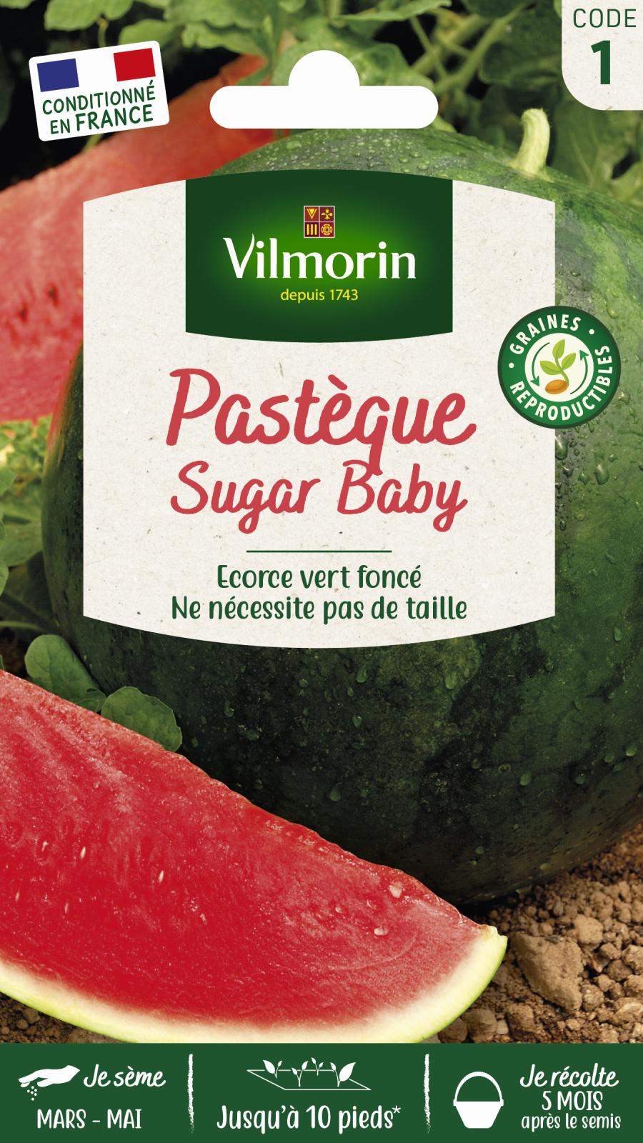 Pastèque Sugar Baby | Sucrée, pas besoin de taille | Vilmorin Jardin