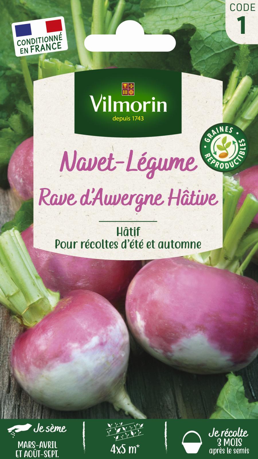 Navet Rave d'Auvergne Hâtive | Rendement important & rapide | Vilmorin ...