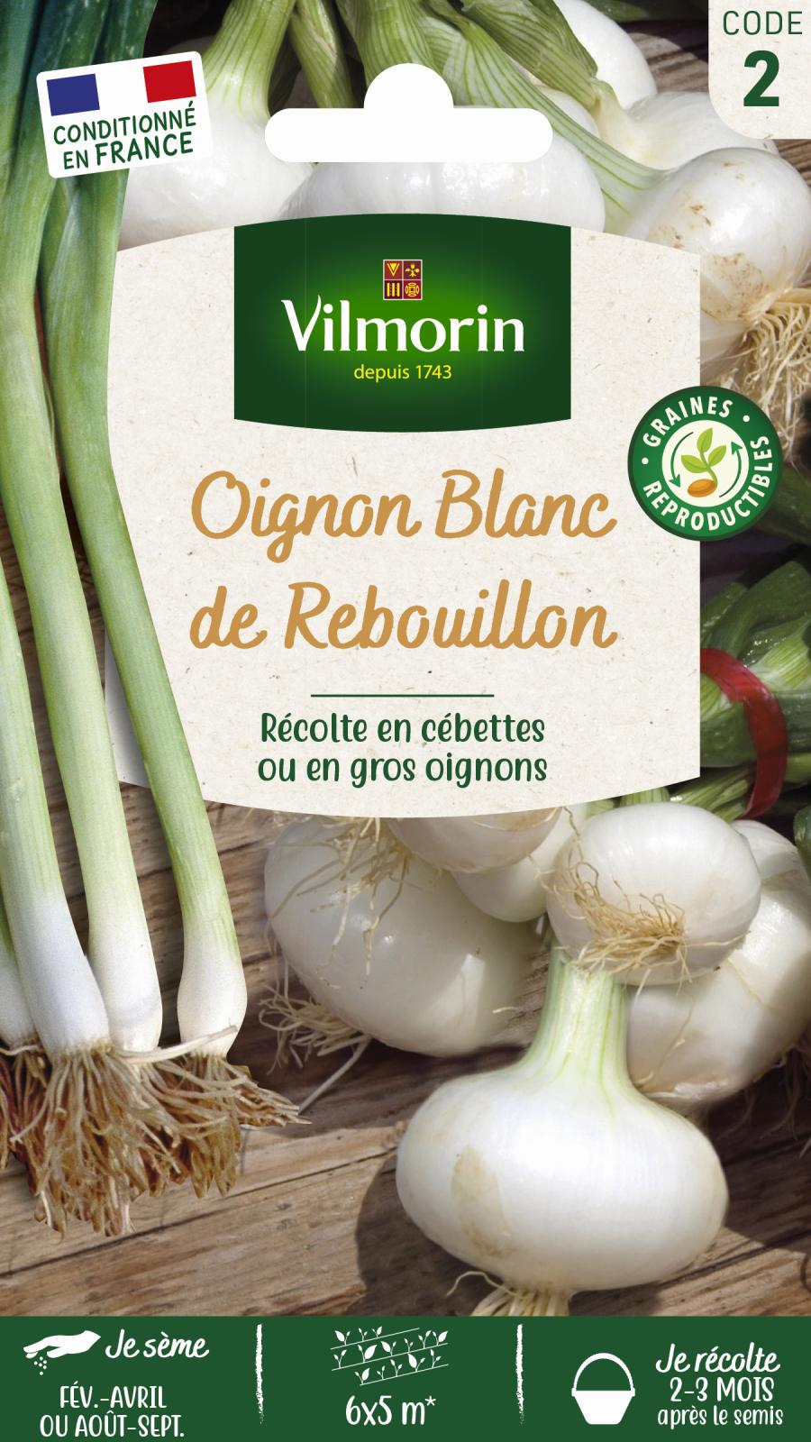 Oignon Blanc de Rebouillon | Plat, idéal en cébette | Vilmorin Jardin