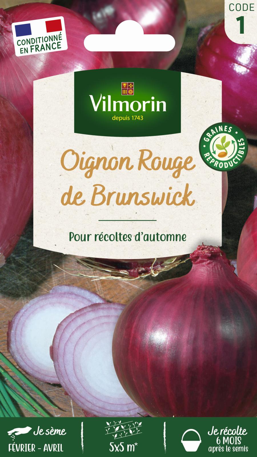 Oignon Rouge de Brunswick | Rond tardif et rustique | Vilmorin Jardin
