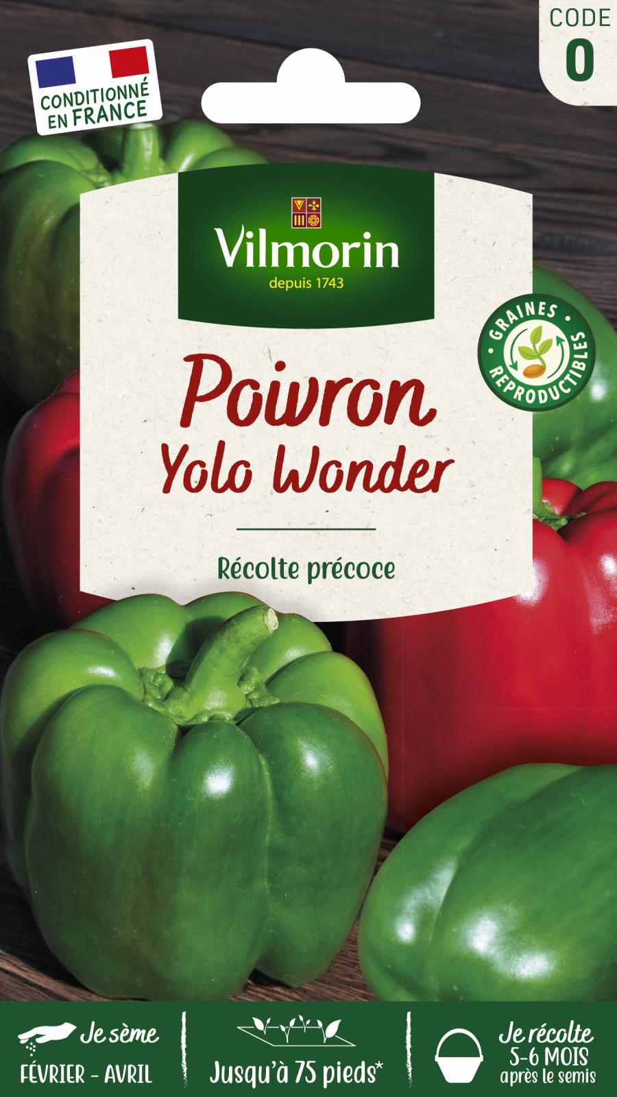 Poivron Yolo Wonder | Chair épaisse & saveur douce | Vilmorin Jardin
