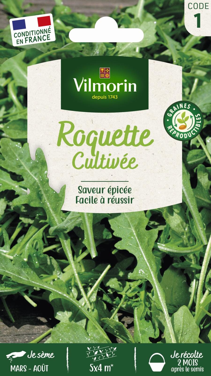 Roquette Cultivée | Facile à réussir toute l'année | Vilmorin Jardin