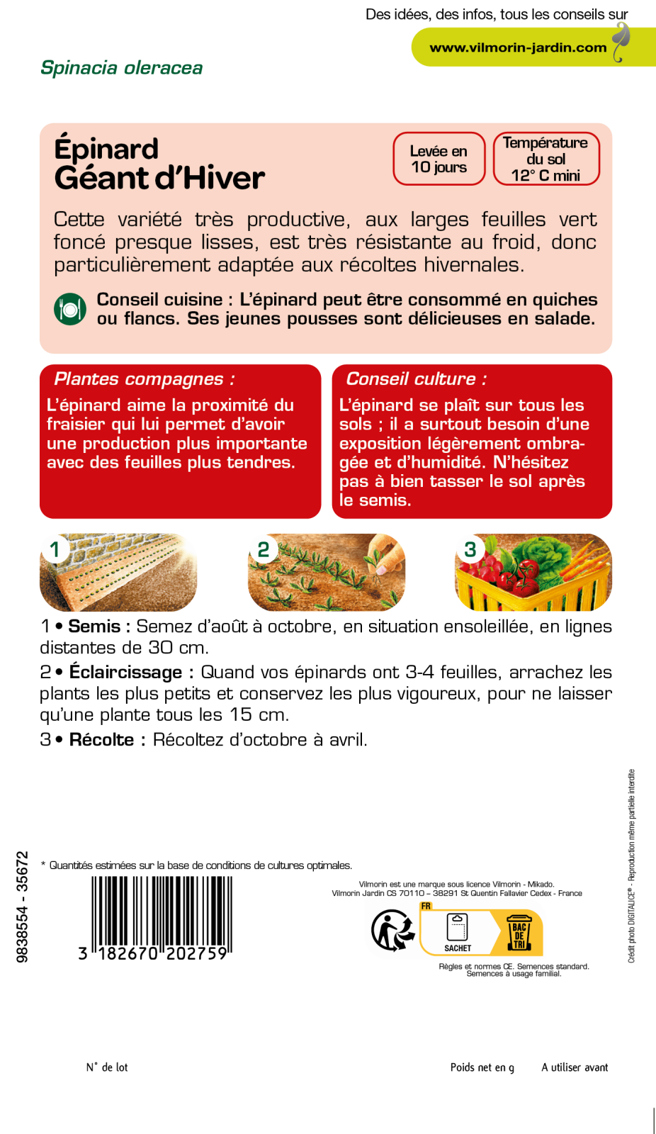 Epinard Géant d'Hiver - Grand modèle | Vilmorin Jardin