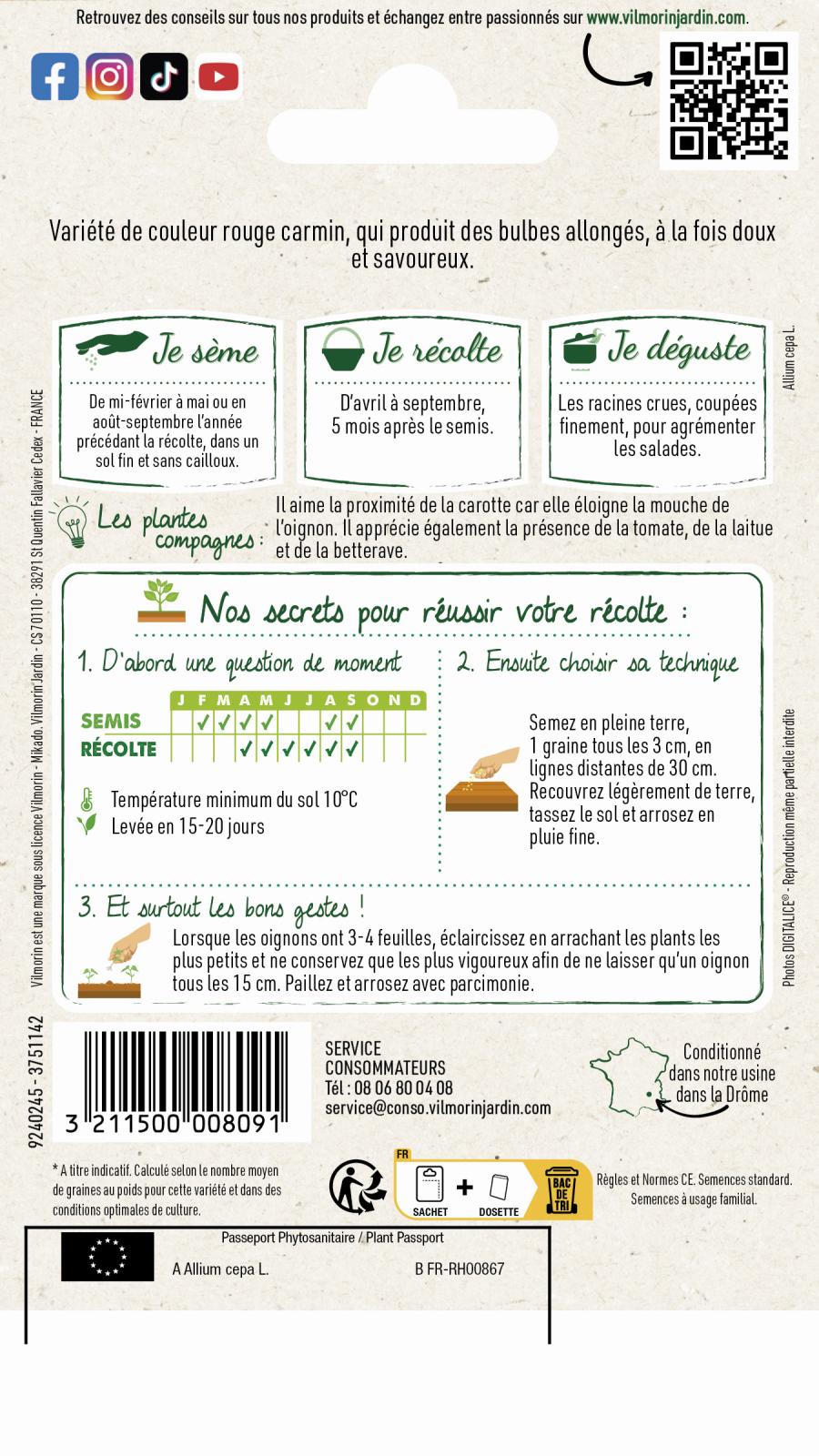 Oignon Rouge Long de Florence | Semblable échalote | Vilmorin Jardin