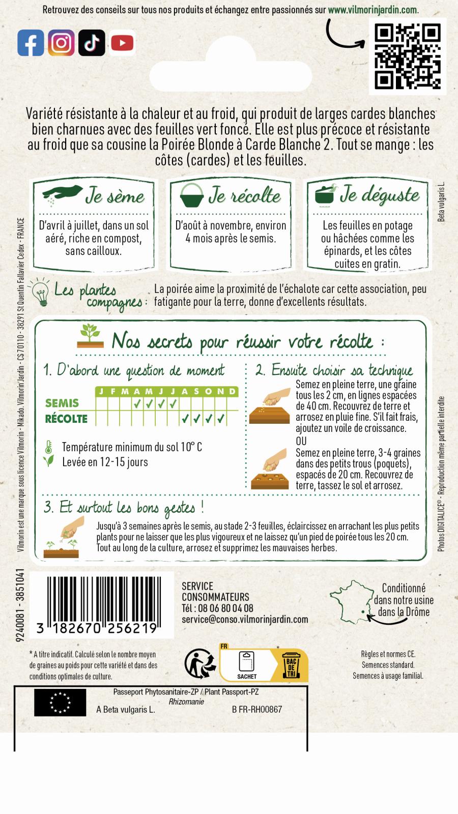 Bette (Poirée) Verte à Carde Blanche 3 | Culture d'été | Vilmorin Jardin