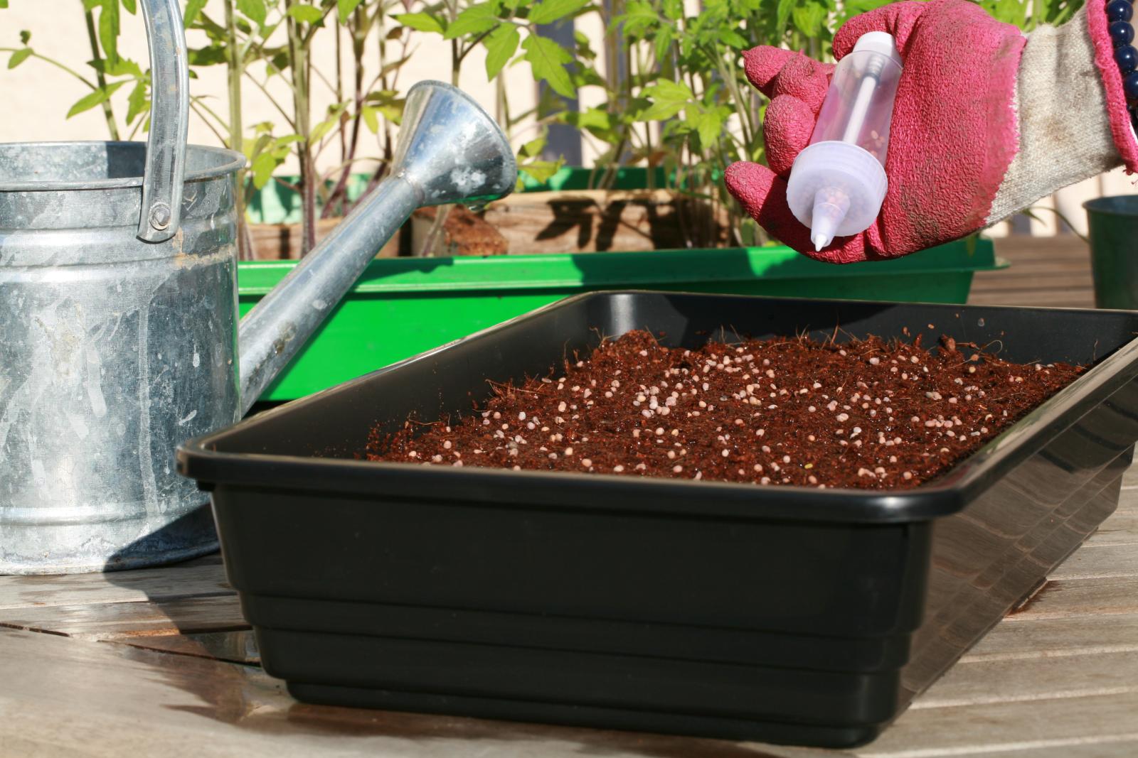 Terrines de Semis | Vilmorin Jardin