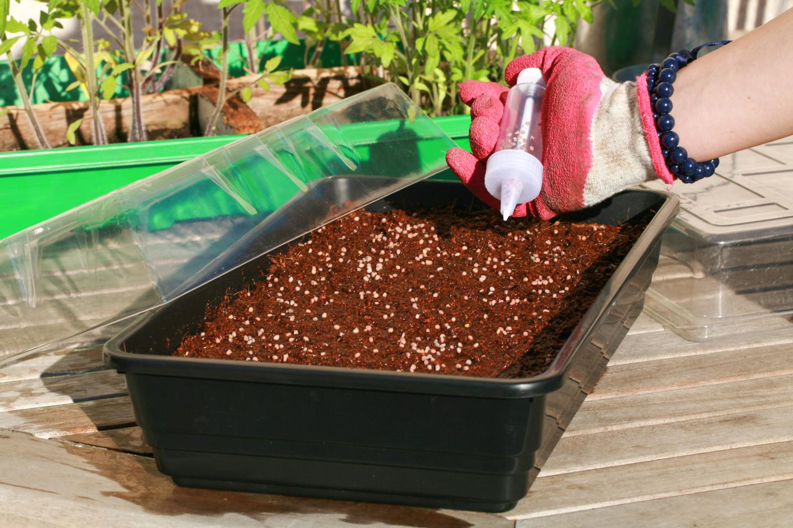 Lot de 2 Terrines pour Semis + Couvercle | 38x24x10cm | Vilmorin Jardin