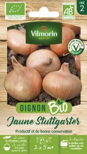Comment planter des oignons ? | Vilmorin